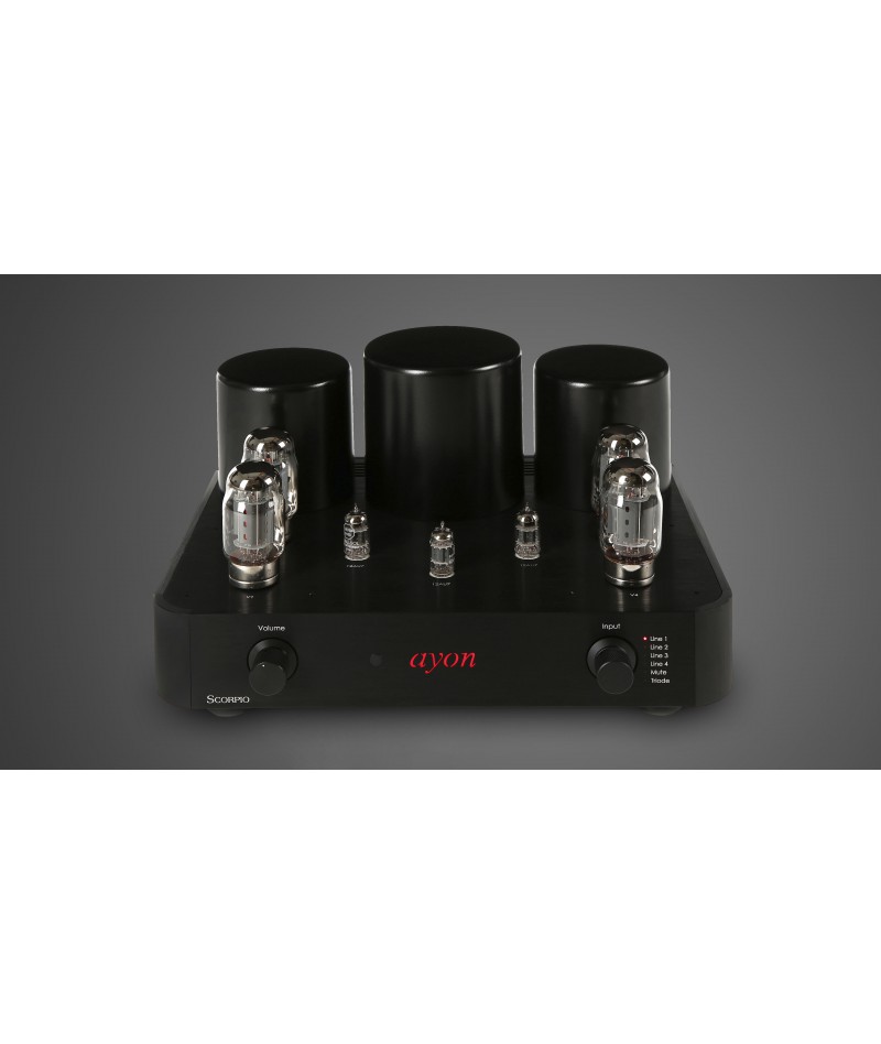 Integrated Amplifier (7)